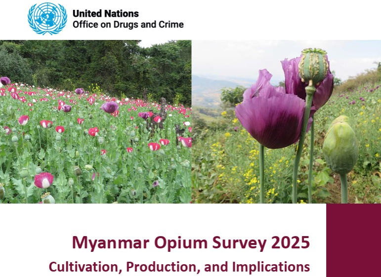 Myanmar’s opium cultivation reaches ten-year peak – World Border ...